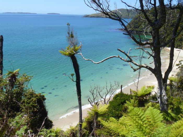 Exploring Stewart Island | Astrolabe Sailing