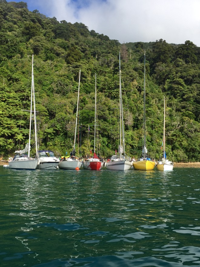 A Recipe for a good Raft Up | Astrolabe Sailing