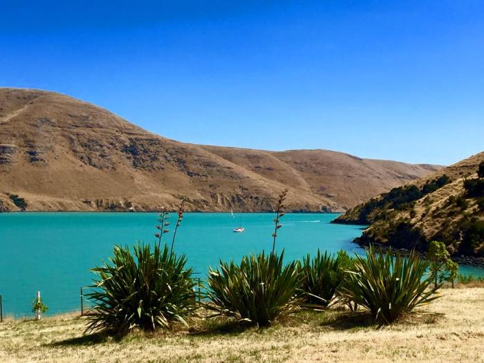 A weekend in Port Levy | Astrolabe Sailing