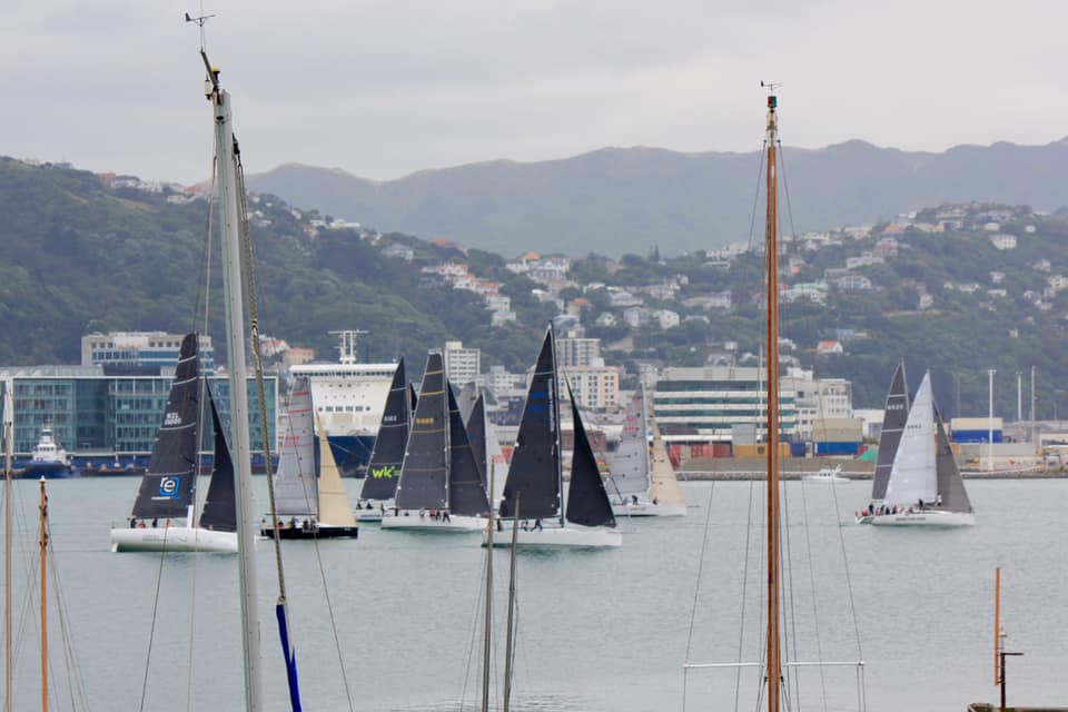 The Wellington to Nelson Race | Astrolabe Sailing
