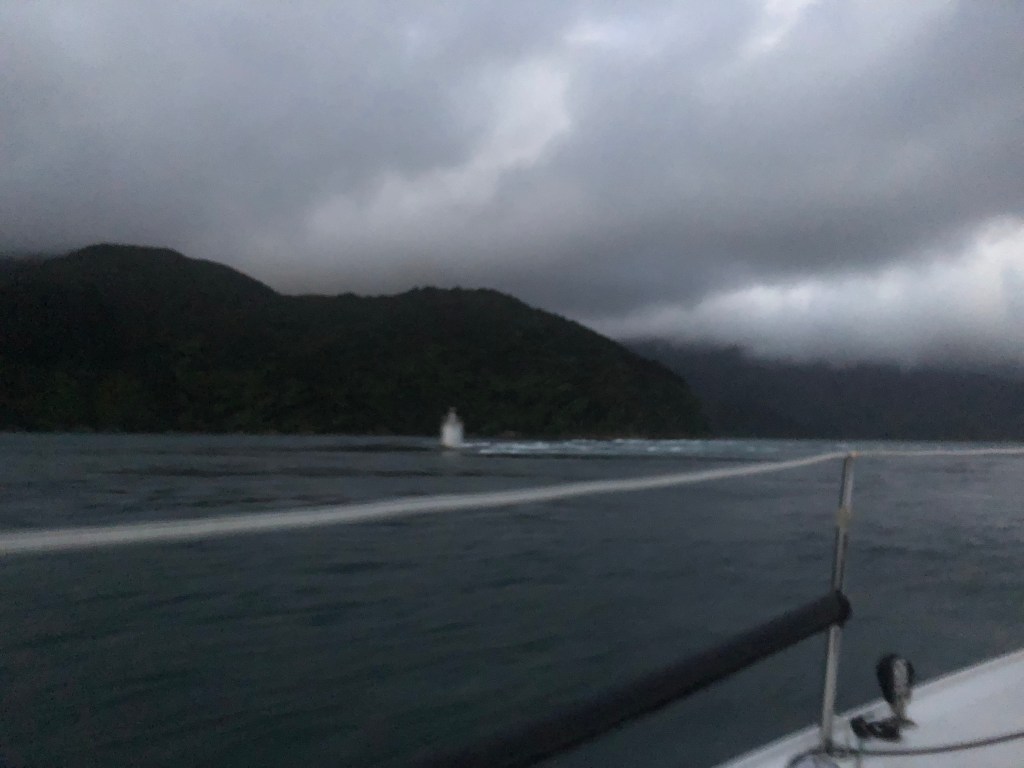 The Wellington to Nelson Race | Astrolabe Sailing