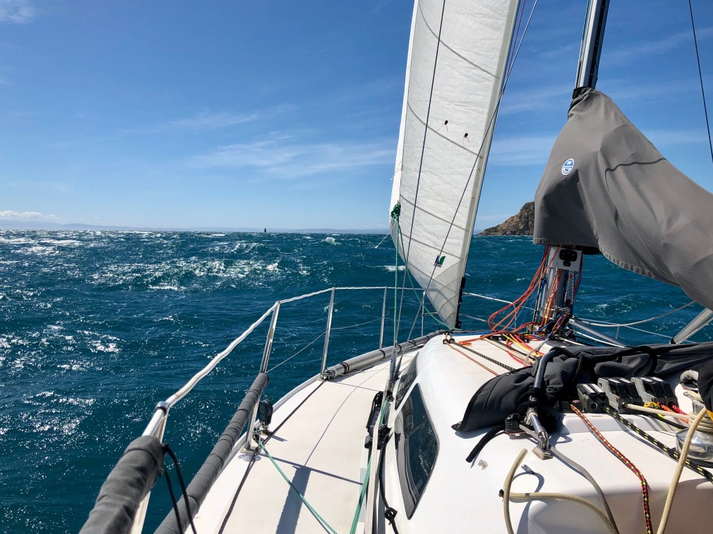The Wellington to Nelson Race | Astrolabe Sailing