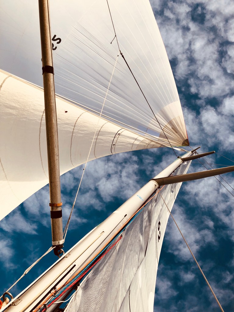 The Wellington to Nelson Race | Astrolabe Sailing